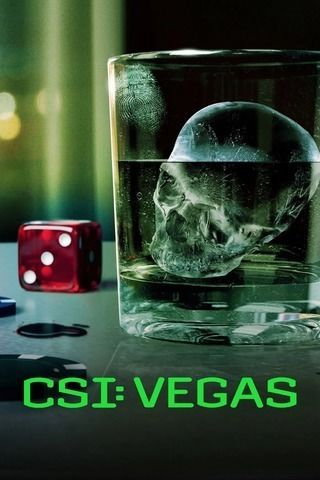 طاقم العمل: مسلسل - CSI: Vegas S3 - 2024